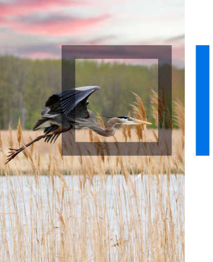 SquareOne Capital | Venture Investment for Technology and Innovation